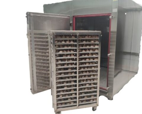 HORNO DESHIDRATADOR DE AJO | MAQUINARIA ZOCAPI